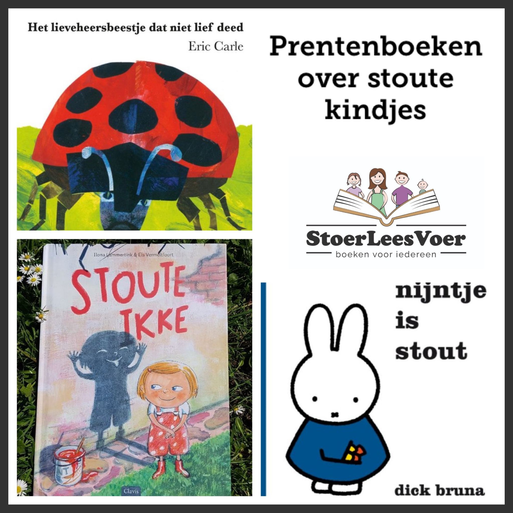 Prentenboeken over stoute kindjes | lief stout | StoerLeesVoer