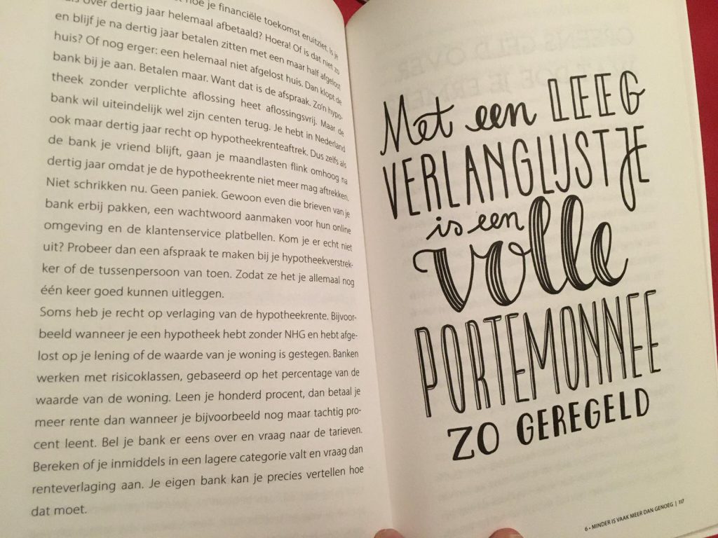 Duur huis nooit thuis - Renée Lamboo | Financieel | StoerLeesVoer