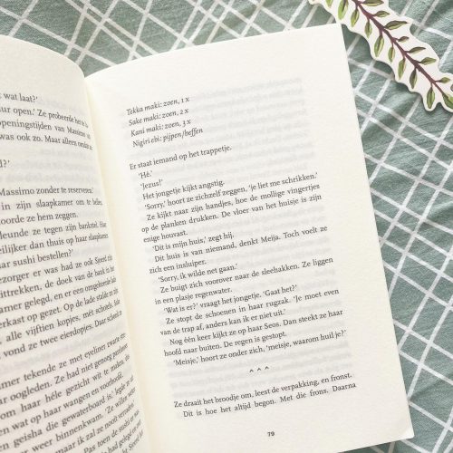 Efter - Hanna Bervoets | Futuristische roman | StoerLeesVoer