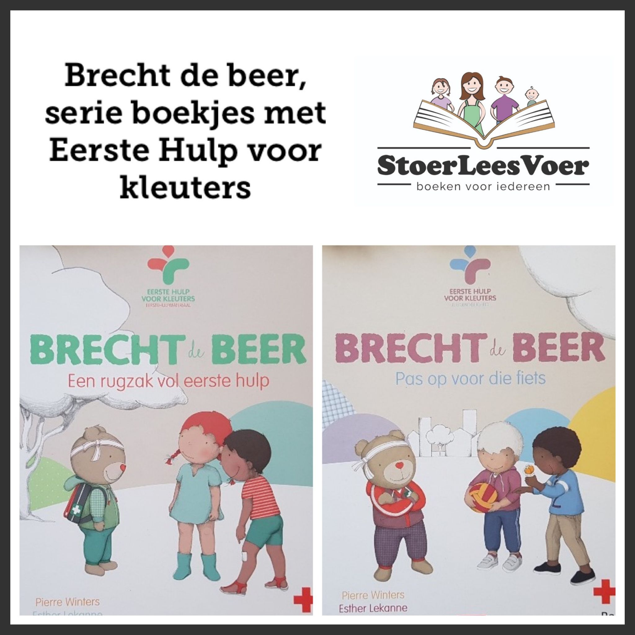 Eerste hulp voor kleuters | Brecht de beer | StoerLeesVoer