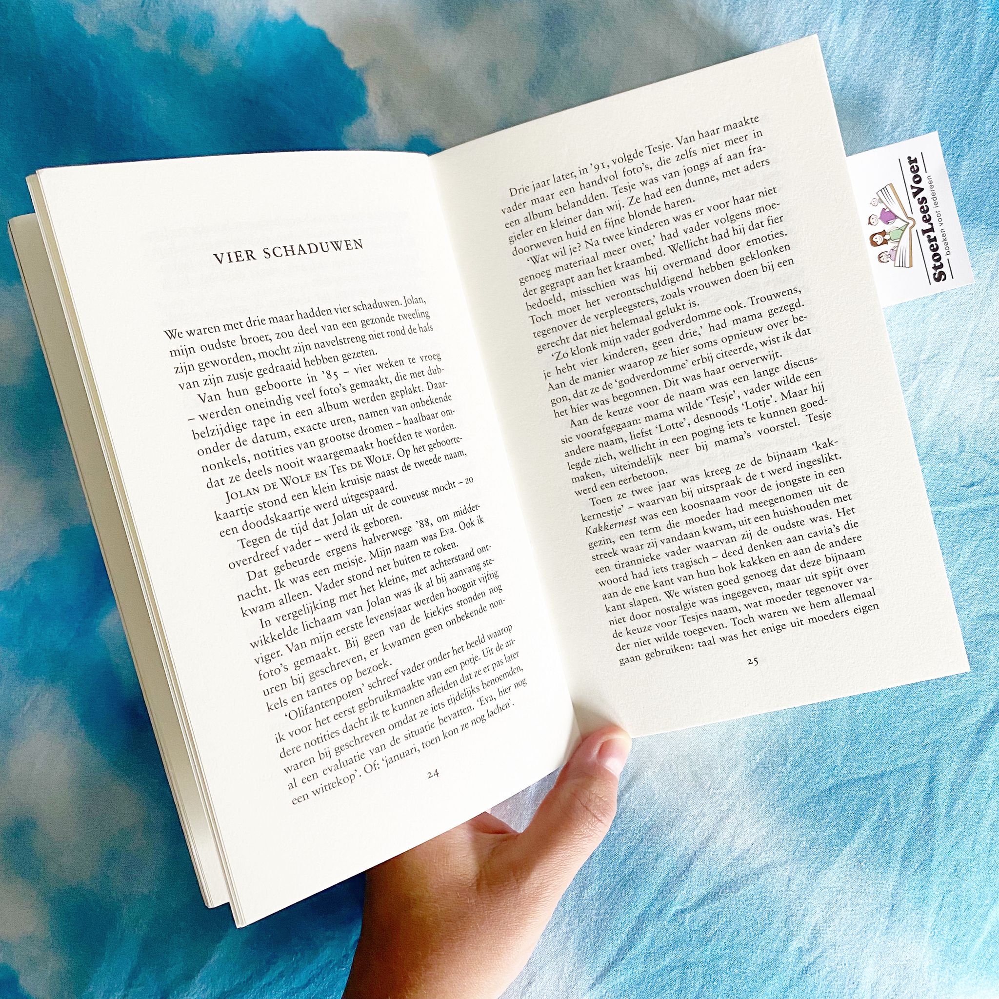 Het smelt - Lize Spit | Literaire roman | StoerLeesVoer