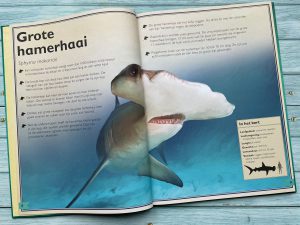 Het allermooiste boek over haaien - Taylor | Weetjesboek Jeugd ...