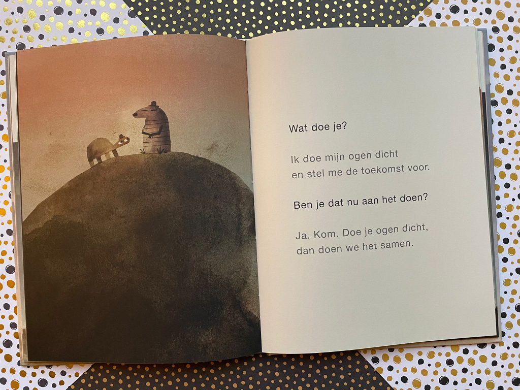 De rots van boven - Jon Klassen | Prentenboek | StoerLeesVoer
