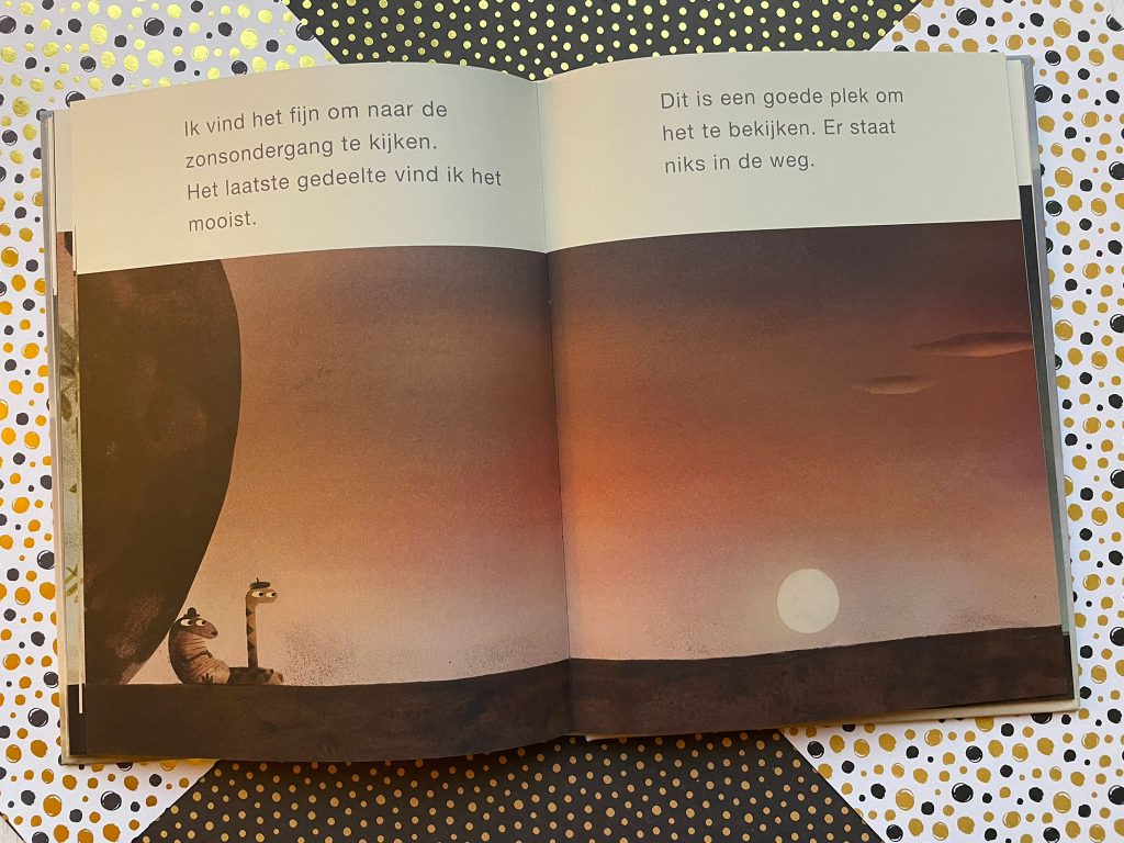 De rots van boven - Jon Klassen | Prentenboek | StoerLeesVoer