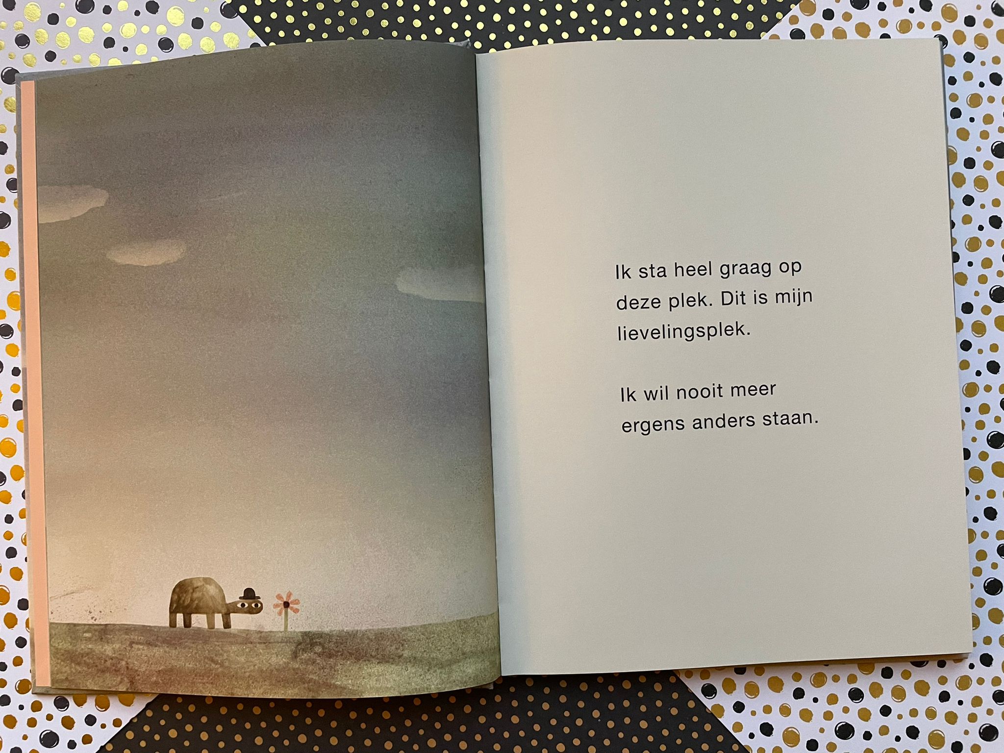 De rots van boven - Jon Klassen | Prentenboek | StoerLeesVoer
