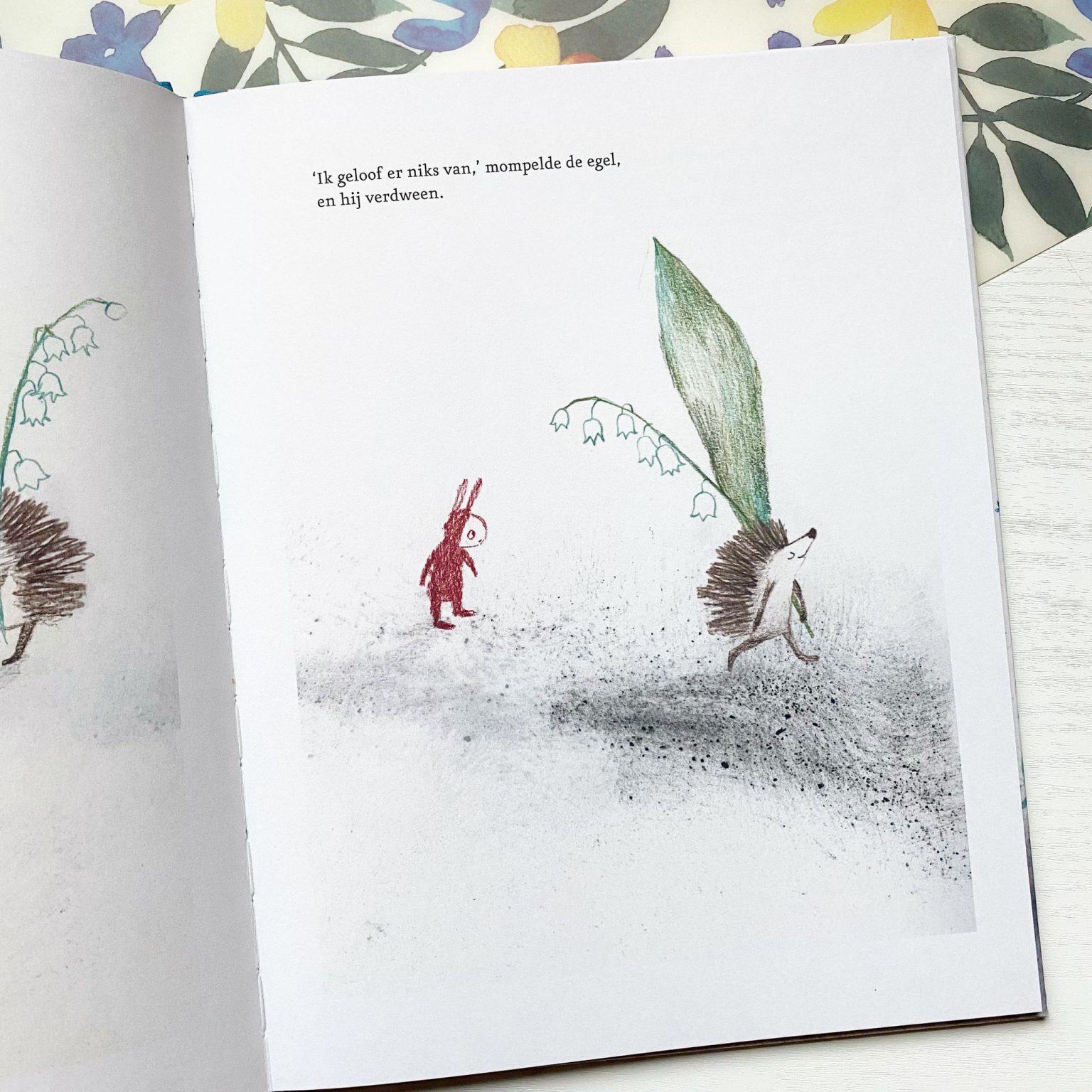 De haas zonder neus - Annabel Lammers | Prentenboek Zelfbeeld ...