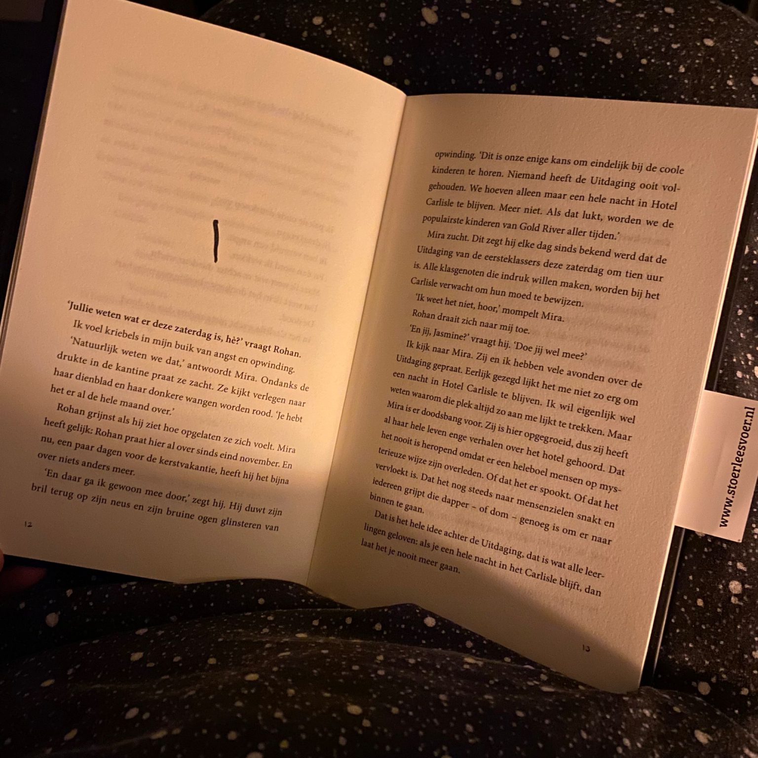 Kamer 333 - K.R. Alexander | Horrorland serie | StoerLeesVoer