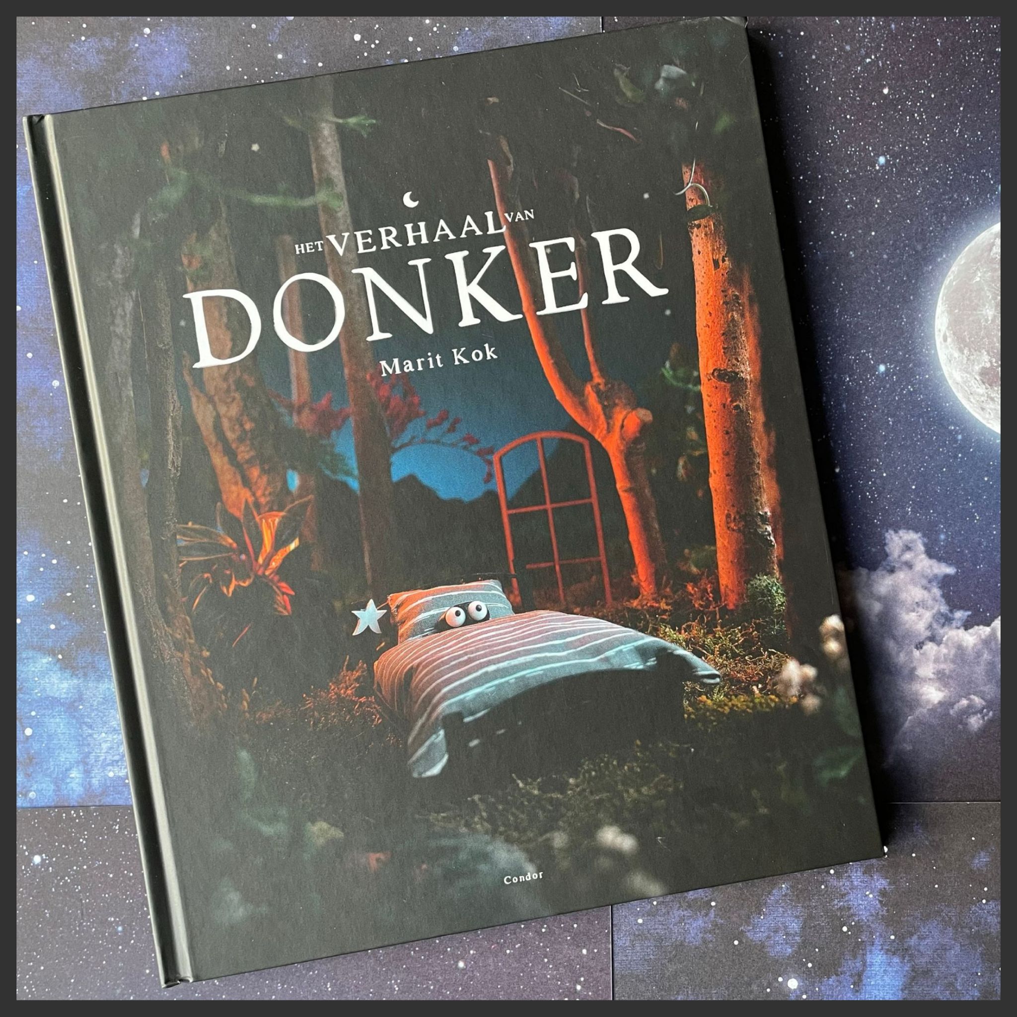 Het verhaal van donker - Marit Kok | Prentenboek | StoerLeesVoer