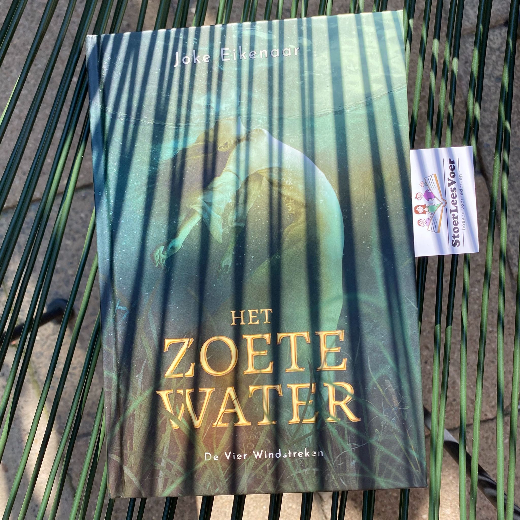 Het zoete water - Joke Eikenaar | Historische Jeugdroman | StoerLeesVoer