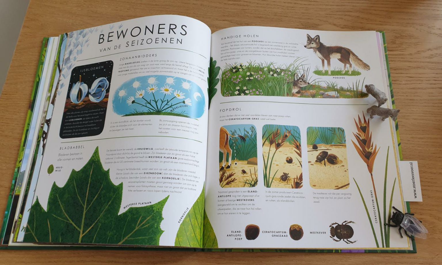 Groene planeet / The Green Planet | BBC Jeugd | StoerLeesVoer