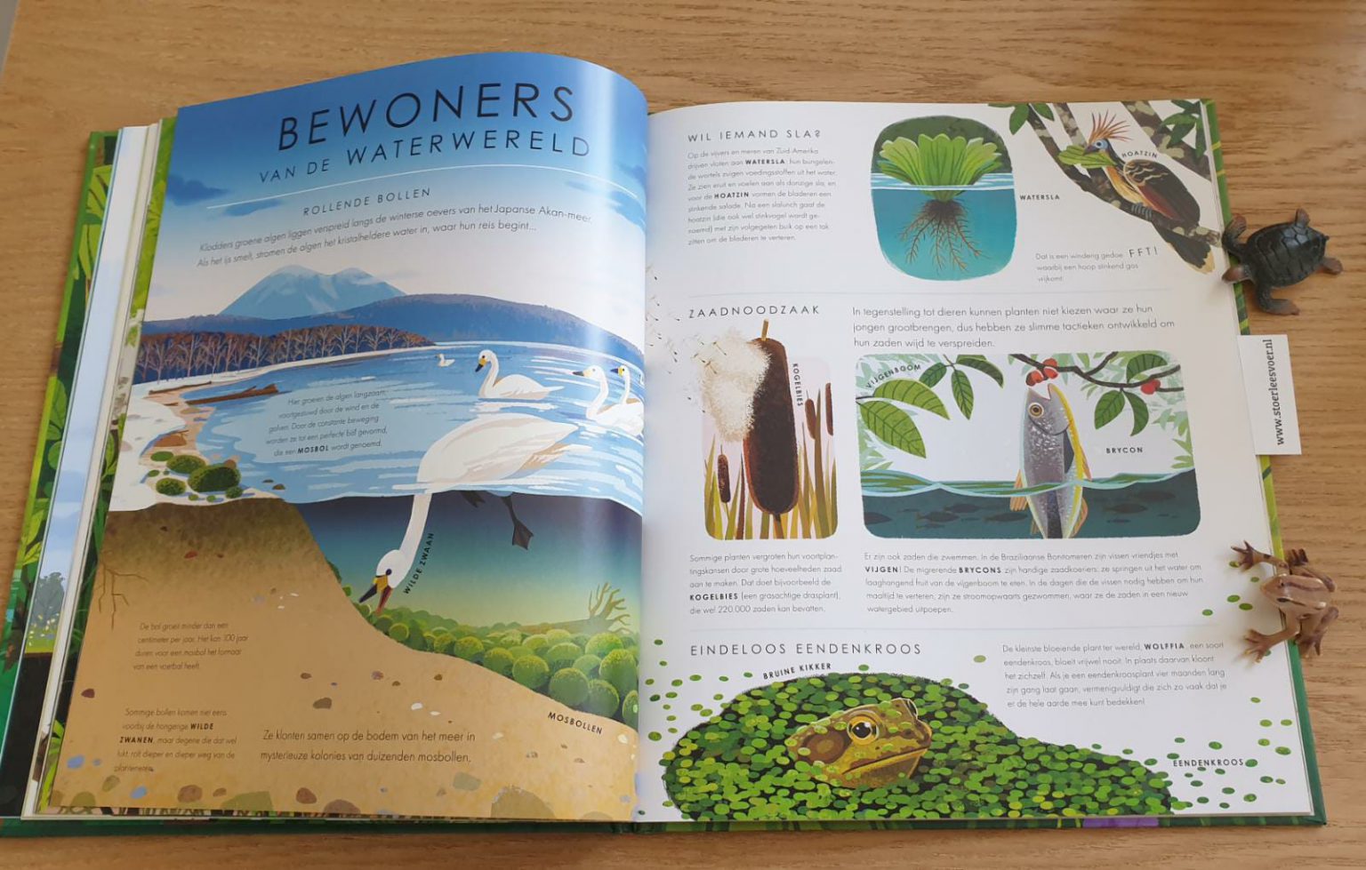 Groene planeet / The Green Planet | BBC Jeugd | StoerLeesVoer