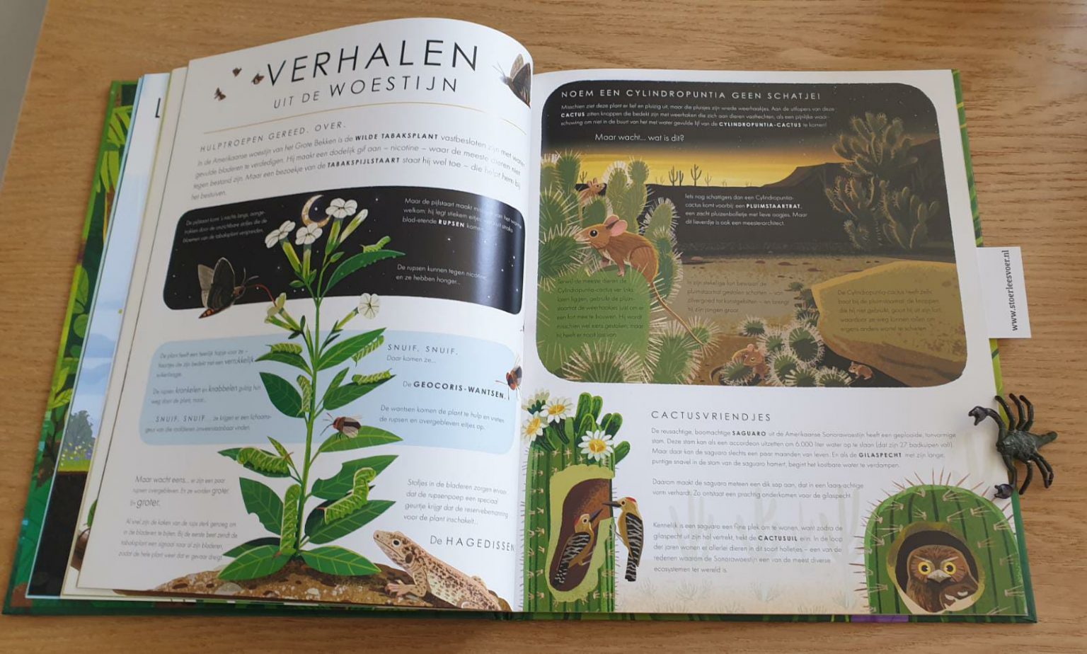 Groene planeet / The Green Planet | BBC Jeugd | StoerLeesVoer