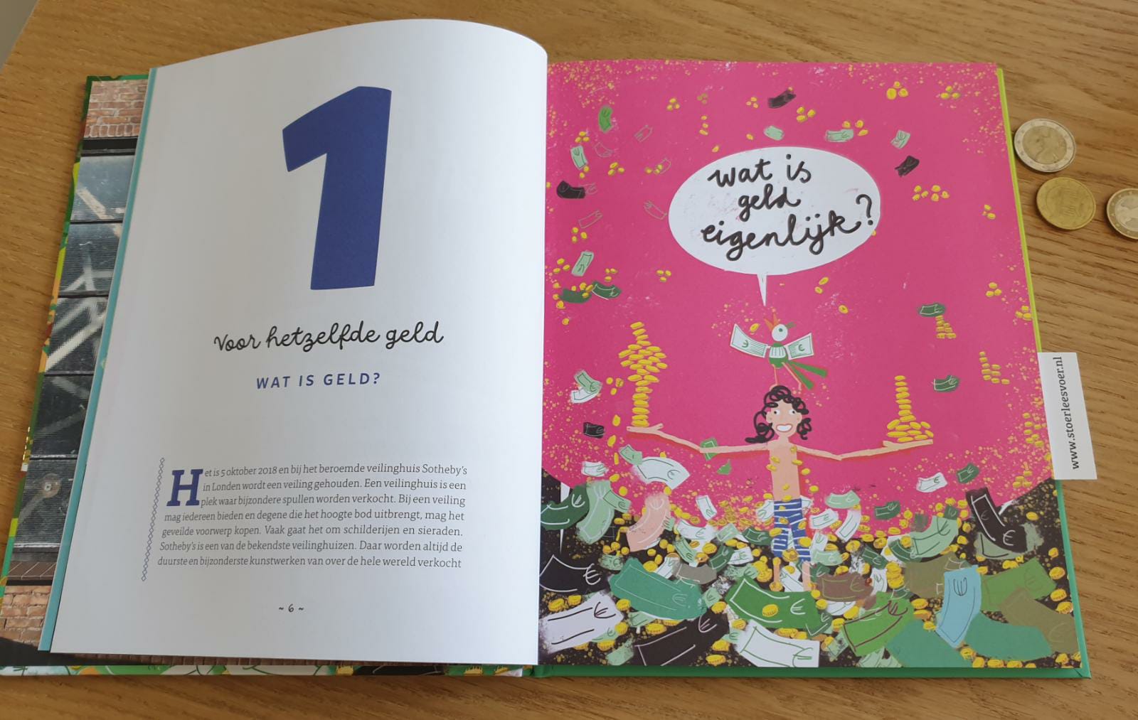 Het te gekke geldboek - een informatief boek - StoerLeesVoer