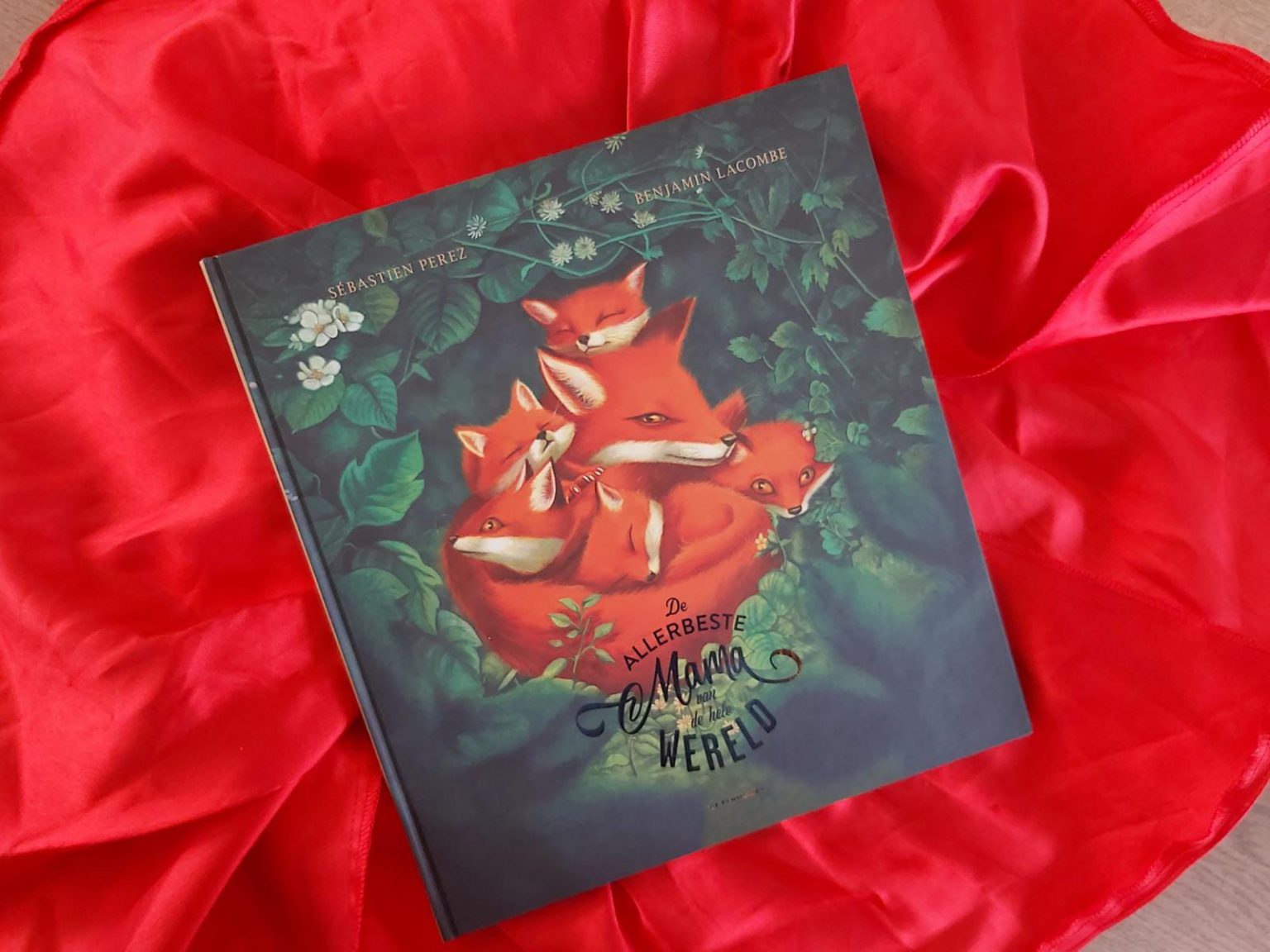 De allerbeste mama van de hele wereld - Sebastien Perez | StoerLeesVoer