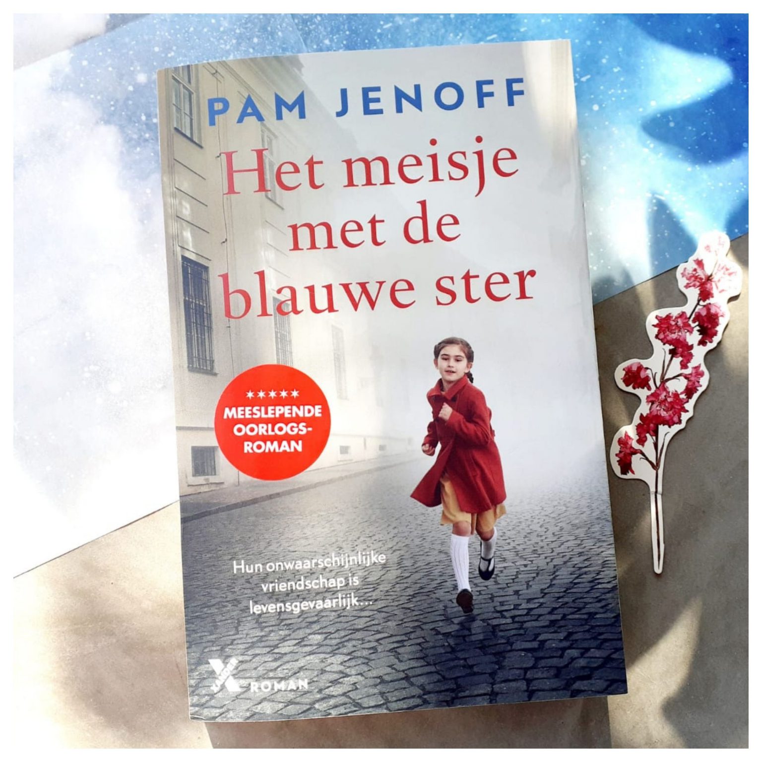Het meisje met de blauwe ster - Pam Jenoff | StoerLeesVoer