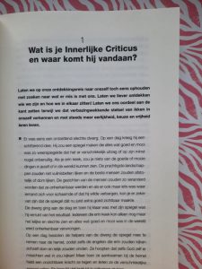 De Innerlijke Criticus ontmaskerd - Stone | StoerLeesVoer