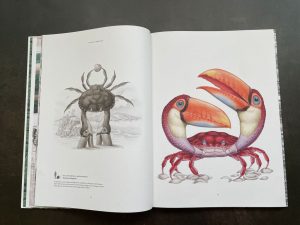 Terra Ultima - Raoul Deleo | Fantasie expeditie | StoerLeesVoer