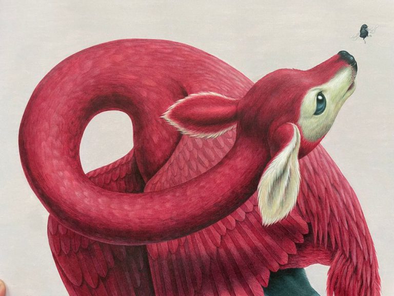 Terra Ultima - Raoul Deleo | Fantasie expeditie | StoerLeesVoer