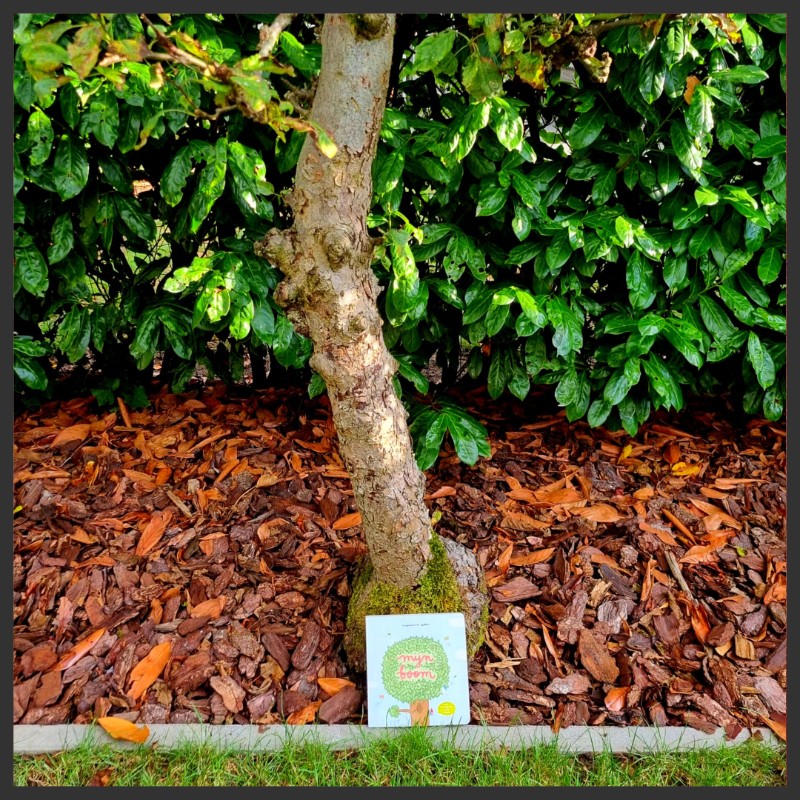 Mijn boom - Marianne Dubuc | Flapjesboek | Stoerleesvoer