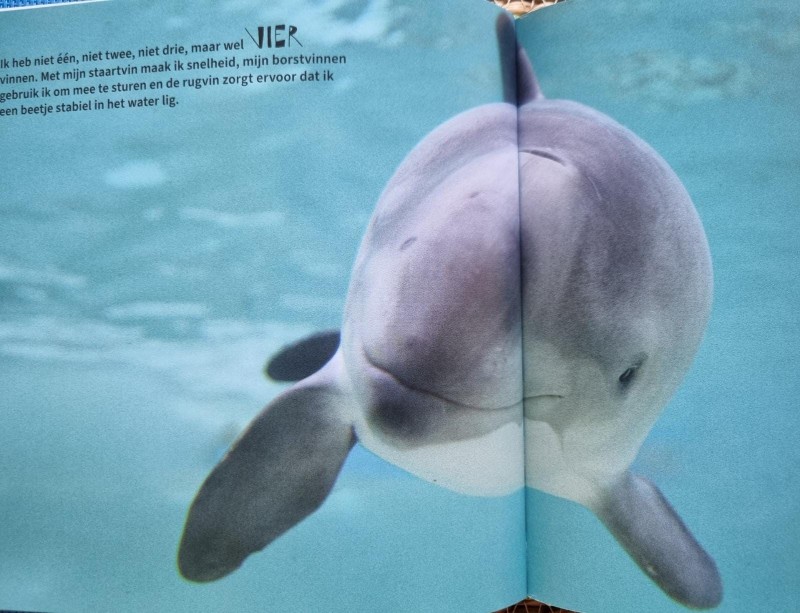 Het andere dierenboek - Victoria Farkas | StoerLeesVoer