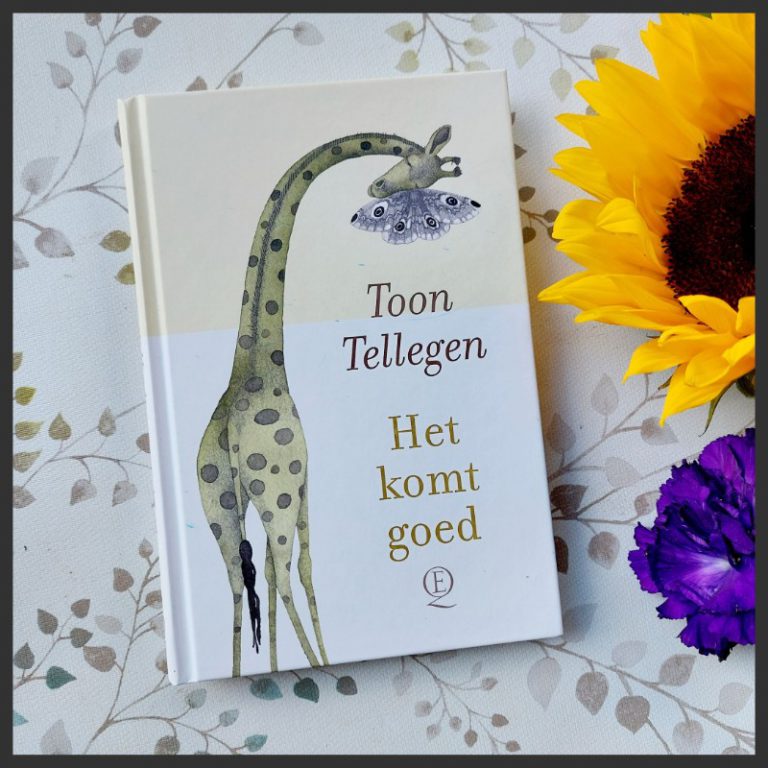 Het komt goed - Toon Tellegen | Troostend boekje | StoerLeesVoer