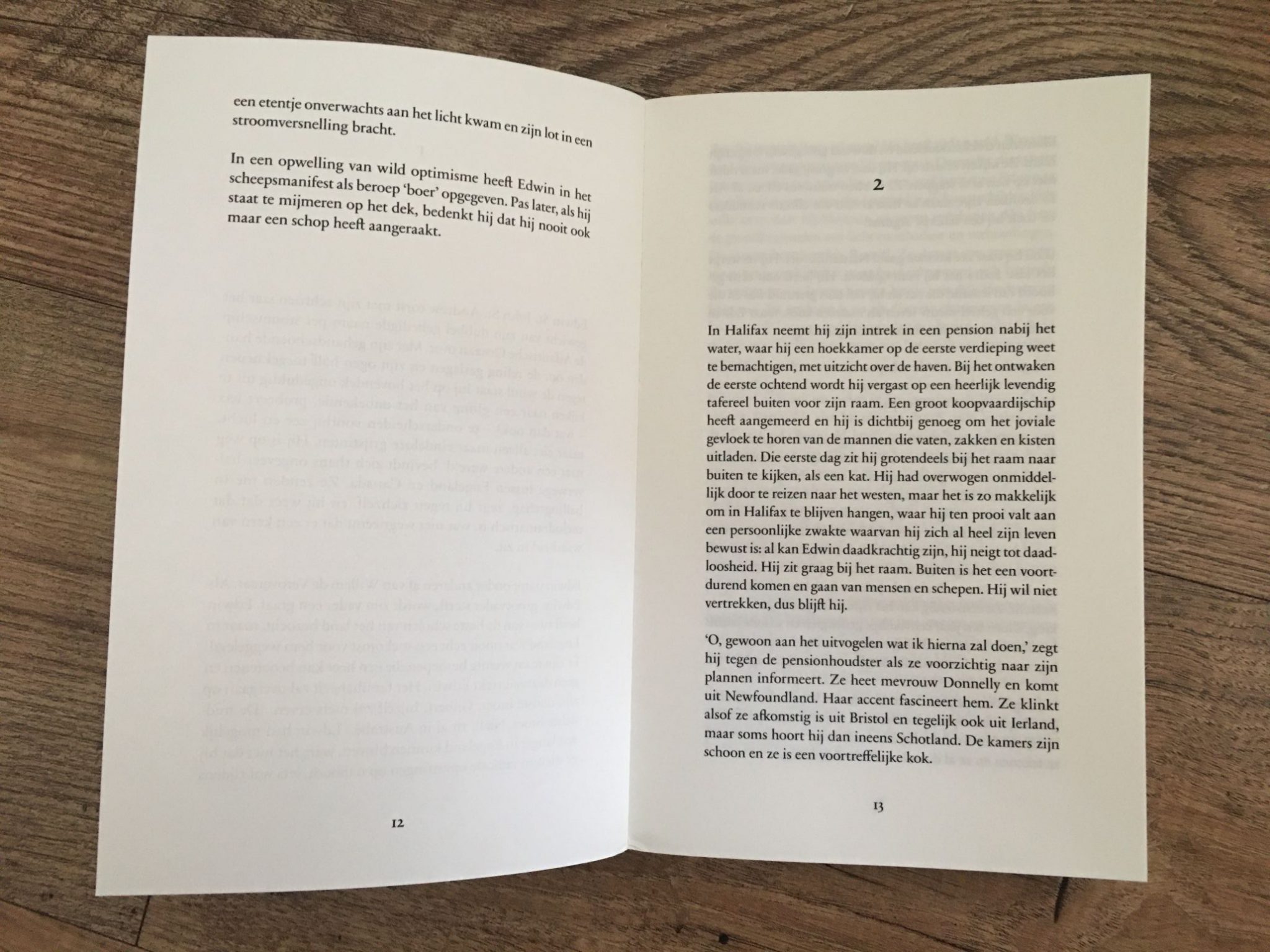 Zee van rust - Emily St. John Mandel | SF roman | StoerLeesVoer