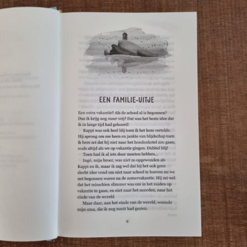 De flat aan het einde van de wereld - Porarinsdottir | Jeugdroman ...