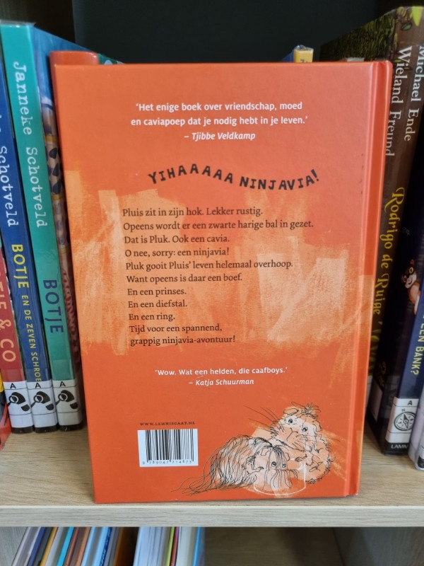 Pluk en Pluis De weg naar terug - Mathilde Stein | StoerLeesVoer