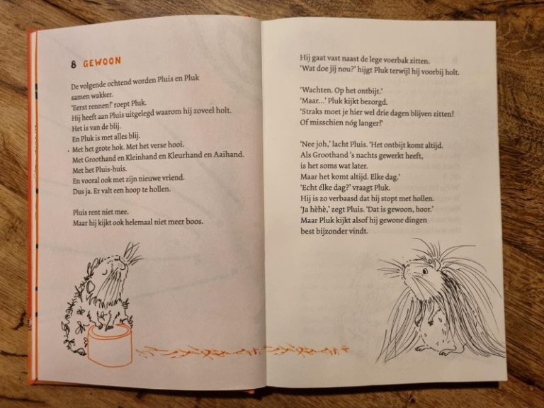 Pluk en Pluis De weg naar terug - Mathilde Stein | StoerLeesVoer