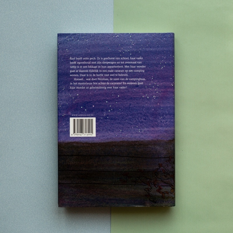 Het kleine heelal - Annejan Mieras | Jeugdboek | StoerLeesVoer