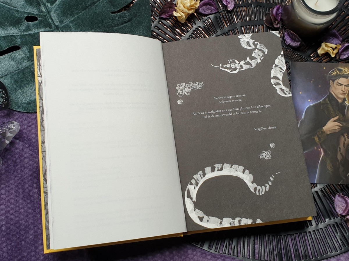 De prins van Toorn - Maniscalco | Dark Fantasy | StoerLeesVoer