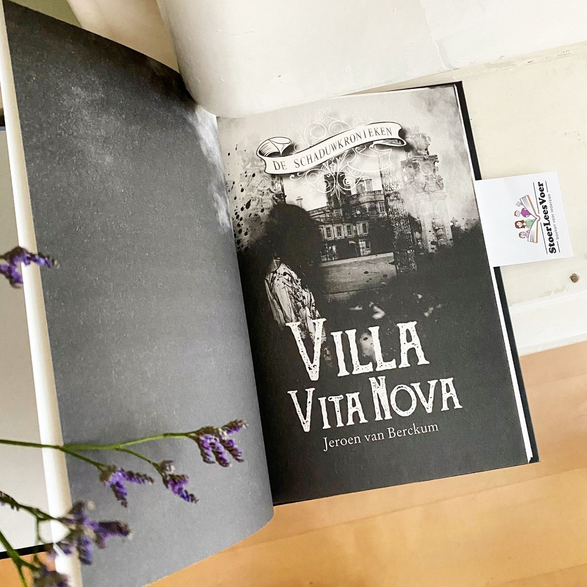 Villa Vita Nova - Berckum | De Schaduwkronieken | StoerLeesVoer