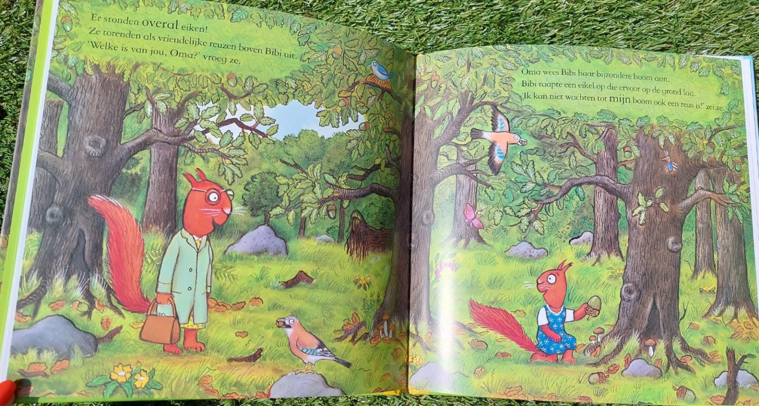 Bibi plant een boom & Zeno zaait een zonnebloem | StoerLeesVoer