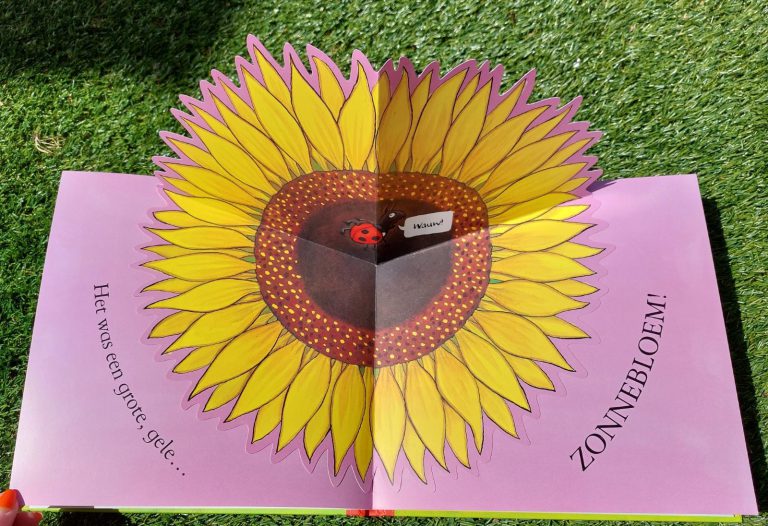 Bibi plant een boom & Zeno zaait een zonnebloem | StoerLeesVoer