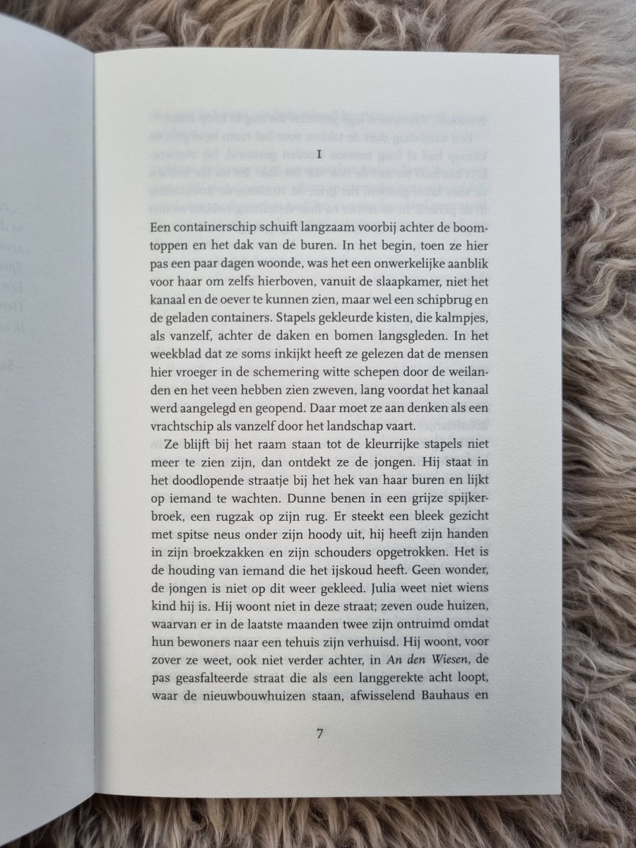 Bij de buren - Kristine Bilkau | Roman | StoerLeesVoer