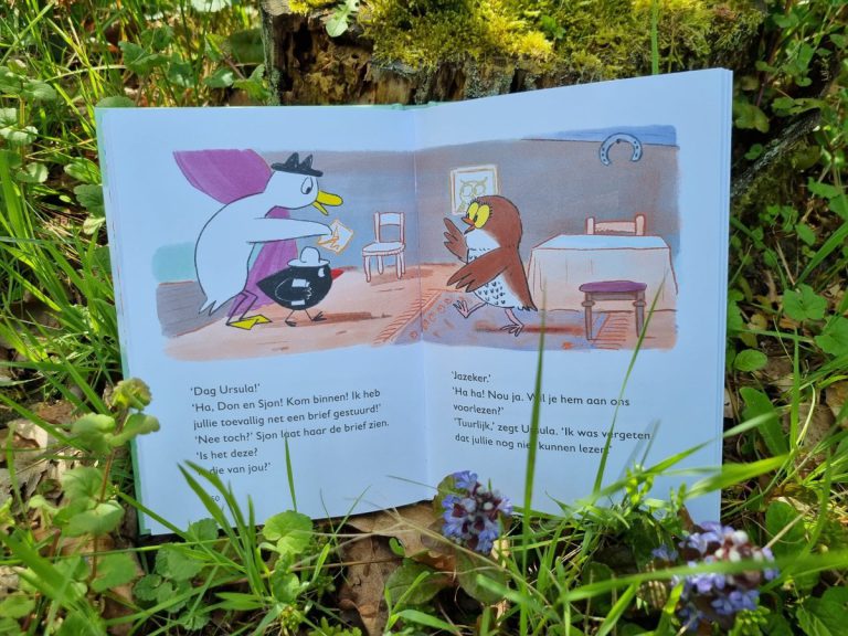 Don en Sjon en de zeven pissebedden Tijgerlezen | StoerLeesVoer