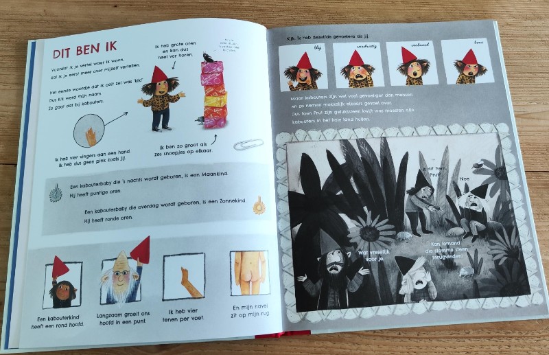 Het Kabouterboek - Loes Riphagen | Prenten | StoerLeesVoer