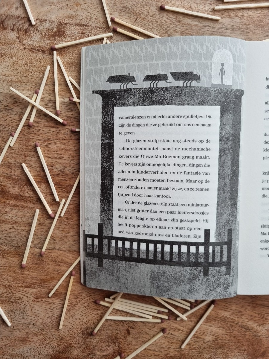 Vonk - Tim Tilley | Spannend jeugdboek 10+ | StoerLeesVoer