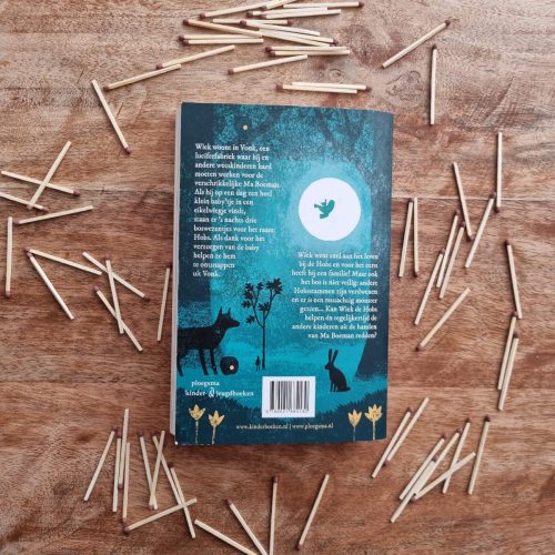 Vonk - Tim Tilley | Spannend jeugdboek 10+ | StoerLeesVoer