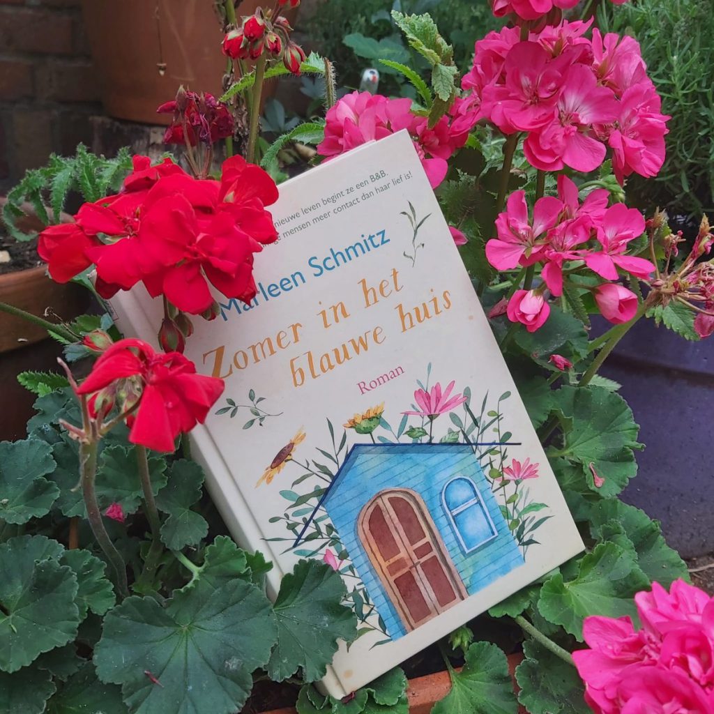 Zomer in het blauwe huis - Schmitz | Familieroman | StoerLeesVoer