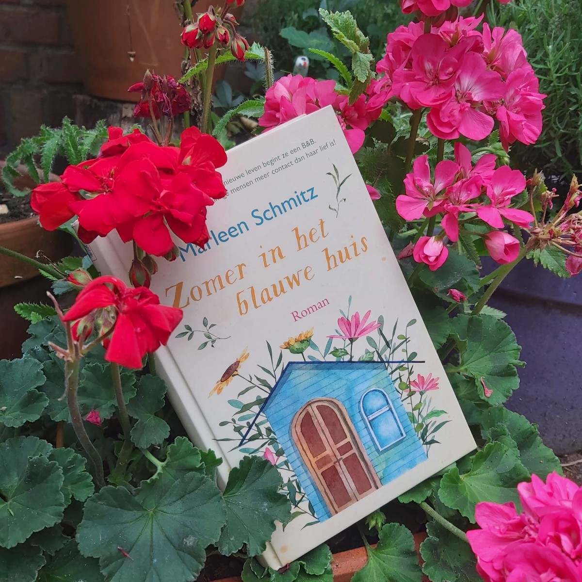 Zomer in het blauwe huis - Schmitz | Familieroman | StoerLeesVoer