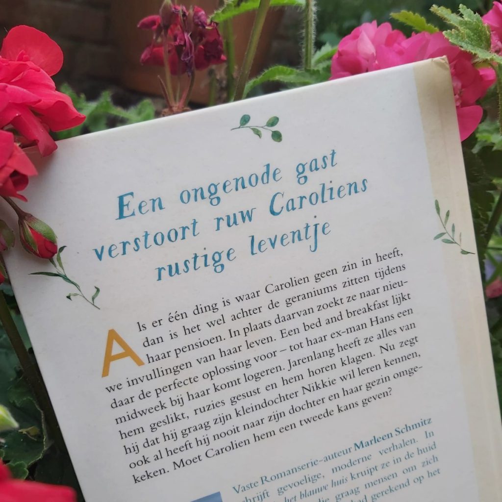 Zomer in het blauwe huis - Schmitz | Familieroman | StoerLeesVoer