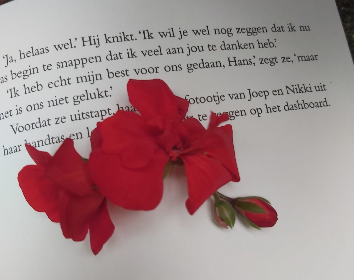 Zomer in het blauwe huis - Schmitz | Familieroman | StoerLeesVoer