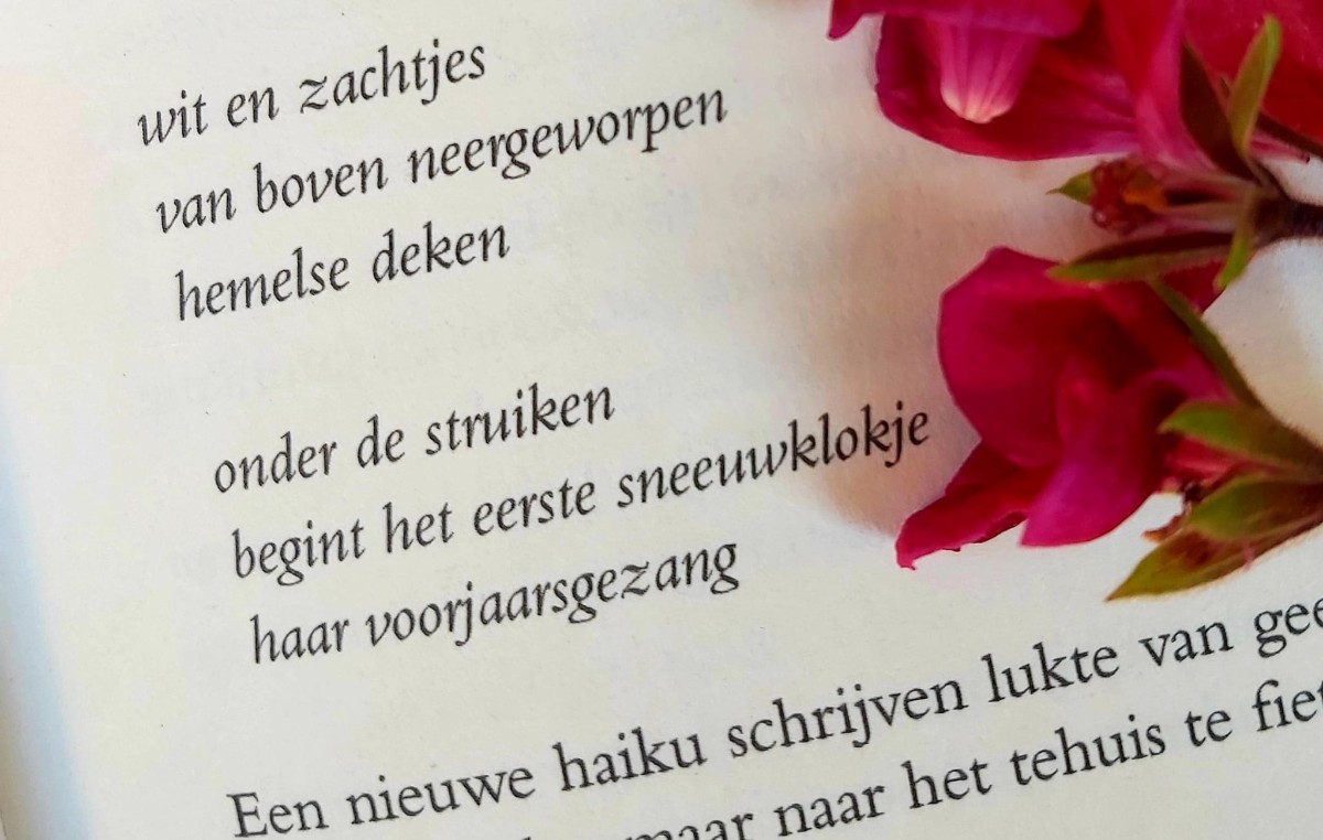 Zomer in het blauwe huis - Schmitz | Familieroman | StoerLeesVoer