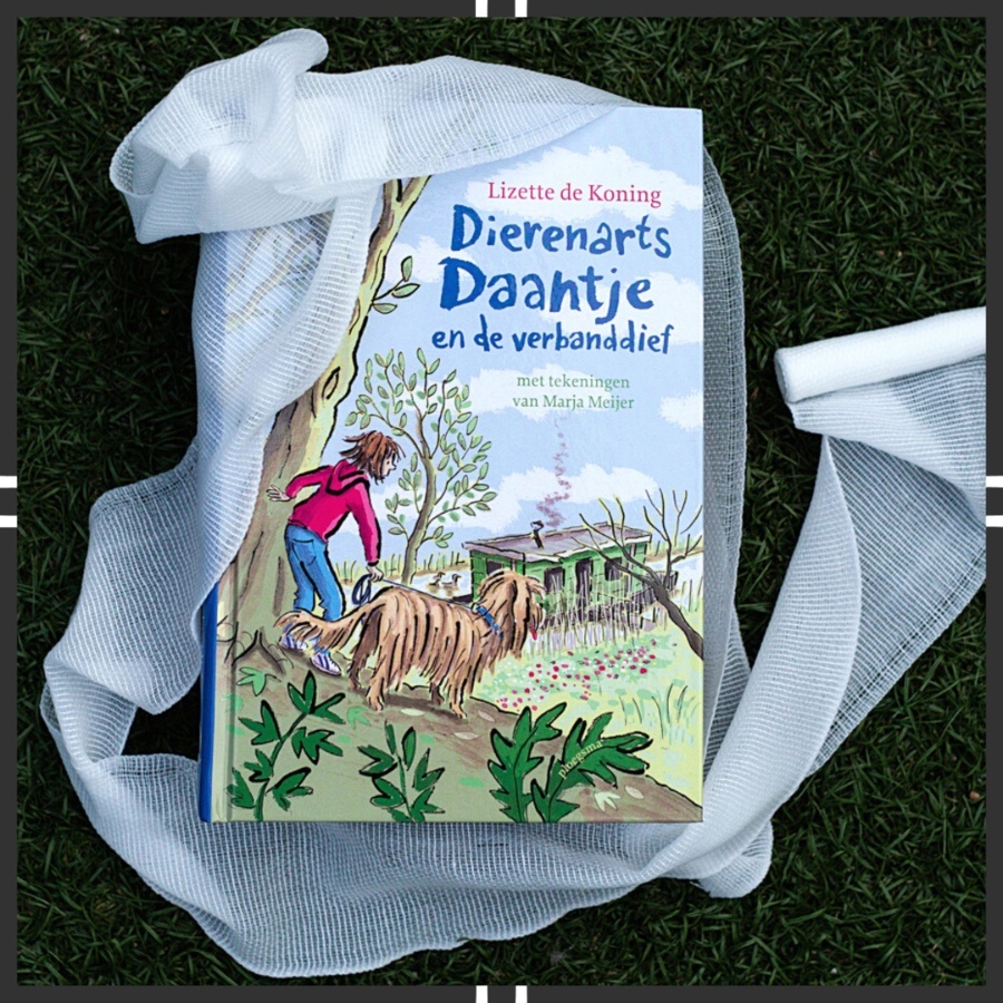 Dierenarts Daantje en de verbanddief - Koning | StoerLeesVoer