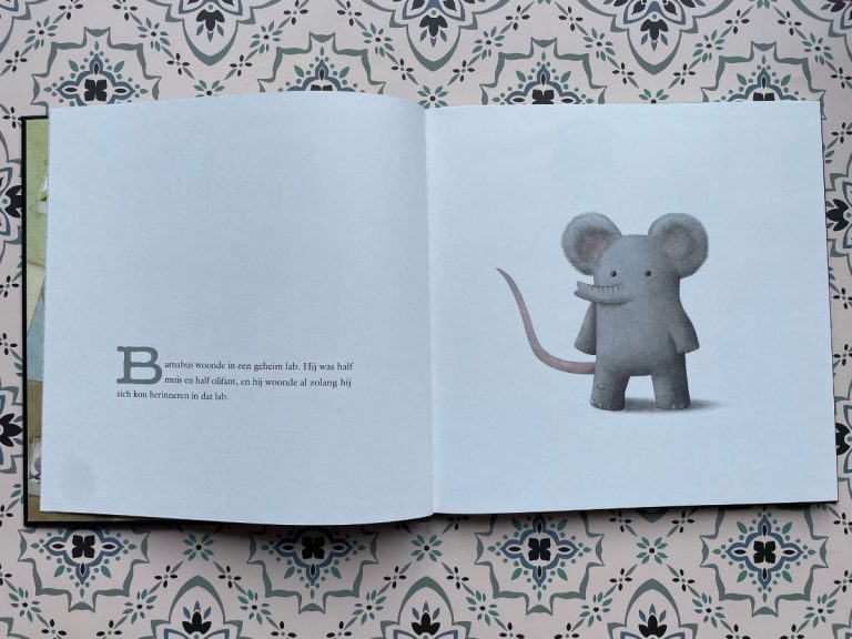 Project Barnabus - The Fan Brothers | Prenten | StoerLeesVoer