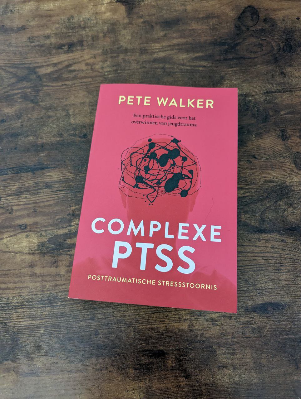 Complexe PTSS - Pete Walker | Non-Fictie | StoerLeesVoer