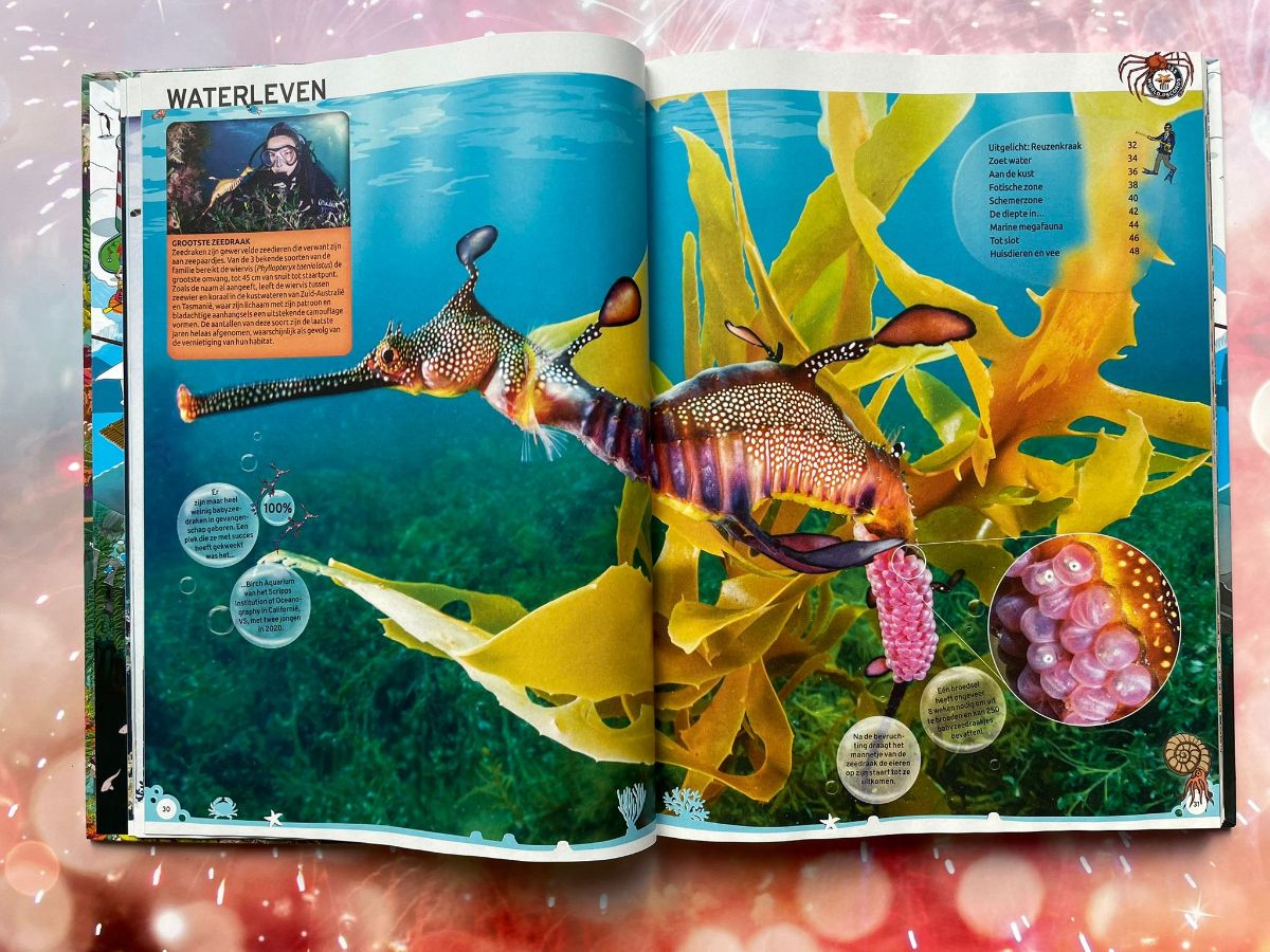 Guinness World Records 2024 | Weetjesboek | StoerLeesVoer