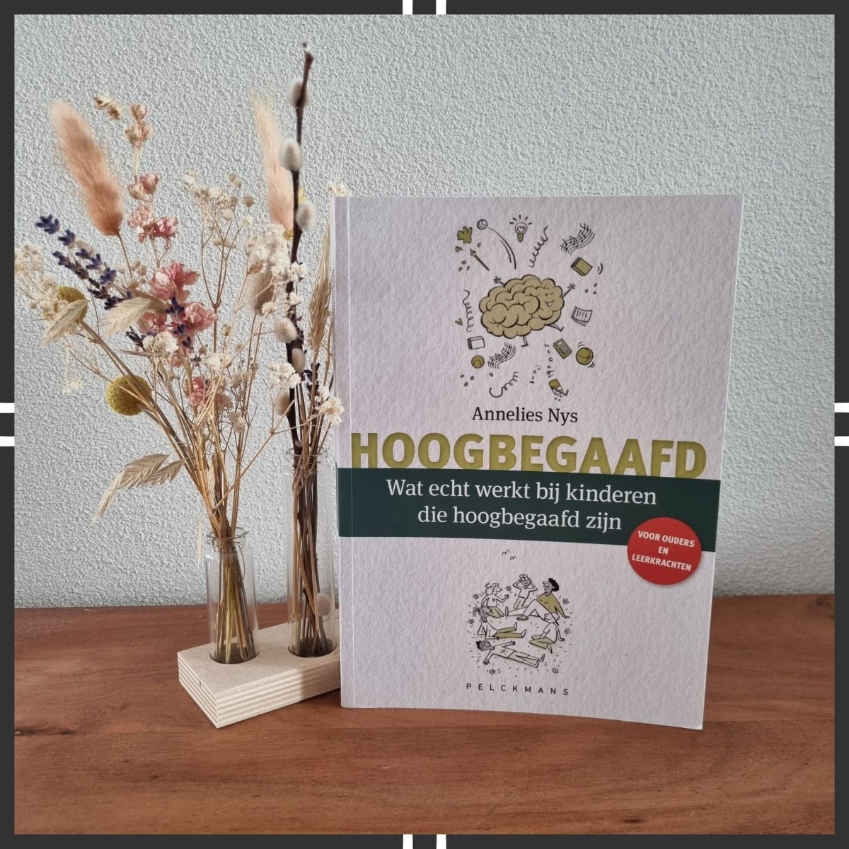 Wat echt werkt bij kinderen die hoogbegaafd zijn | StoerLeesVoer