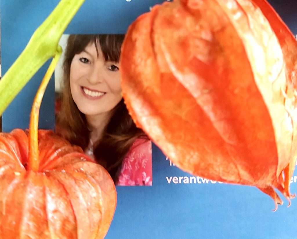 De perfecte dochter - Anna Neijzen | Roman | StoerLeesVoer